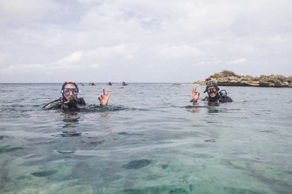Divewise - Malta Discount Card - Diving Guide - Malta & Gozo Holidays ...